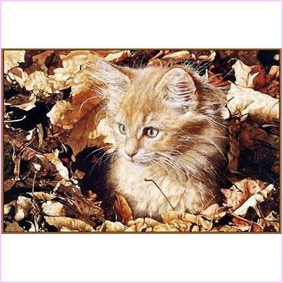 Smitten Kitten - Starter Edition – Heartful Diamonds